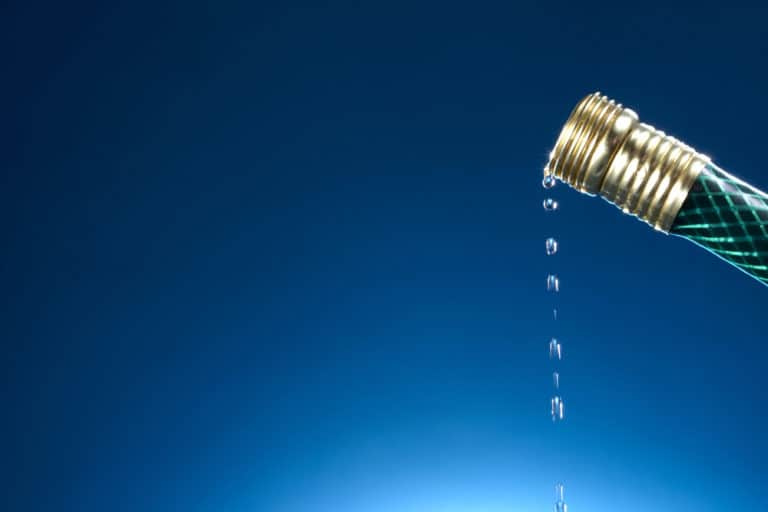 How To Acclimate Shrimp (Step-by-Step Guide)